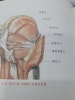 신길pt 신길뉴타운pt 영등포역pt 한 다리 혹은 두 다리 균형 근육 요통 골반통증 꼬리뼈통증 무릎통증
